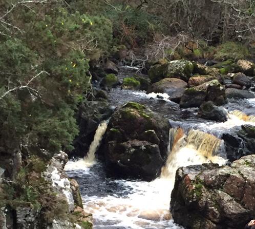 A Walk by the Clady River – The Pink Wheelbarrow